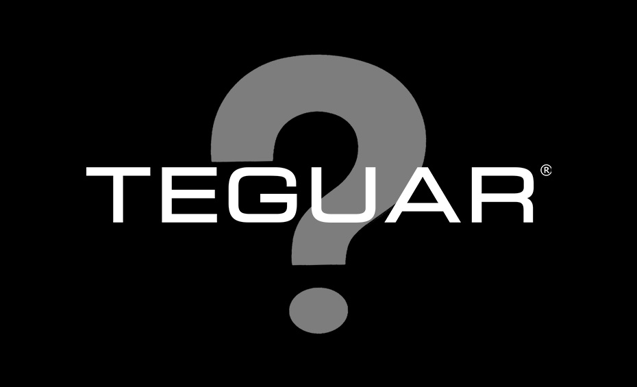 What Is A Teguar? | TEGUAR