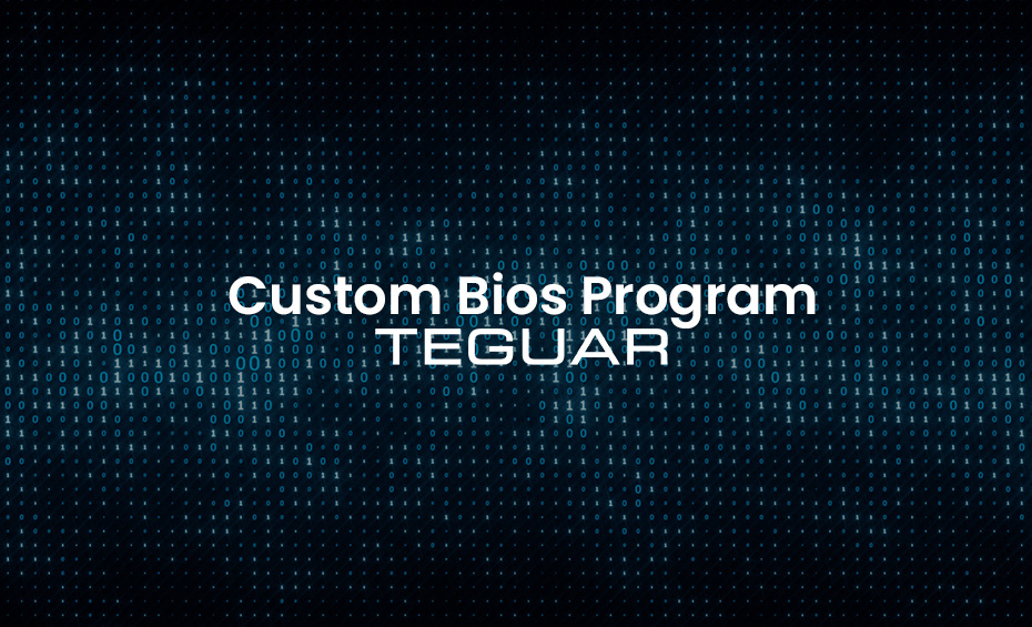 Custom Bios Program | Teguar Computers