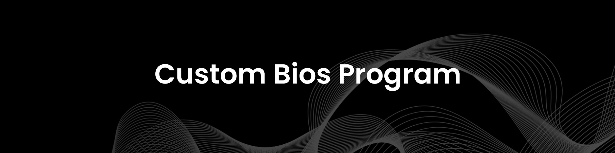 Custom Bios Program | Teguar Computers