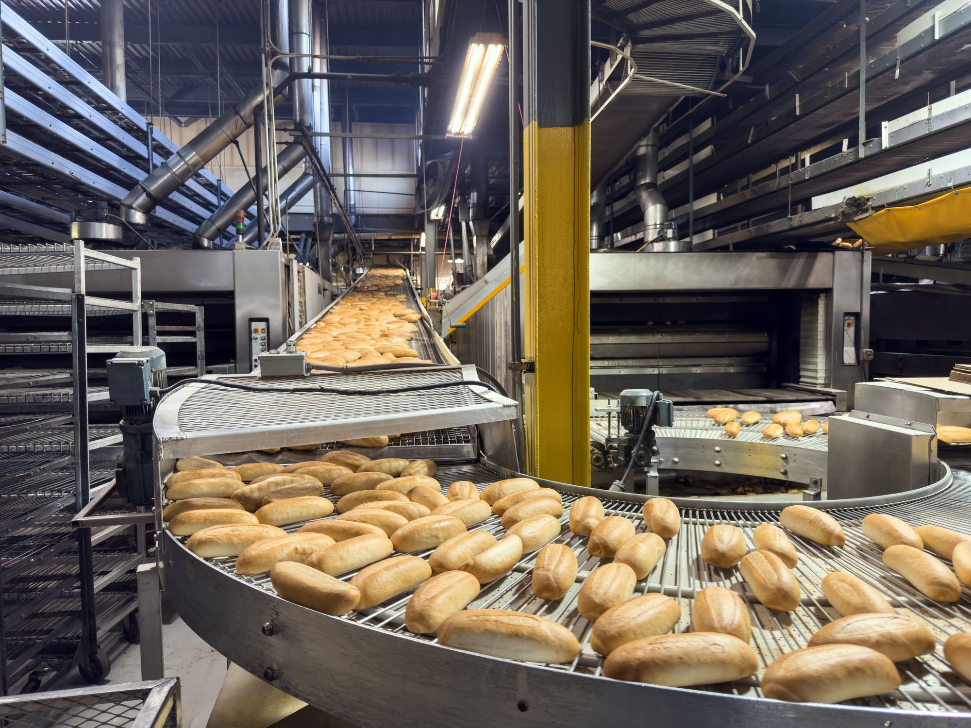Food Processing Line Technology: A Case Study with Teguar | TEGUAR